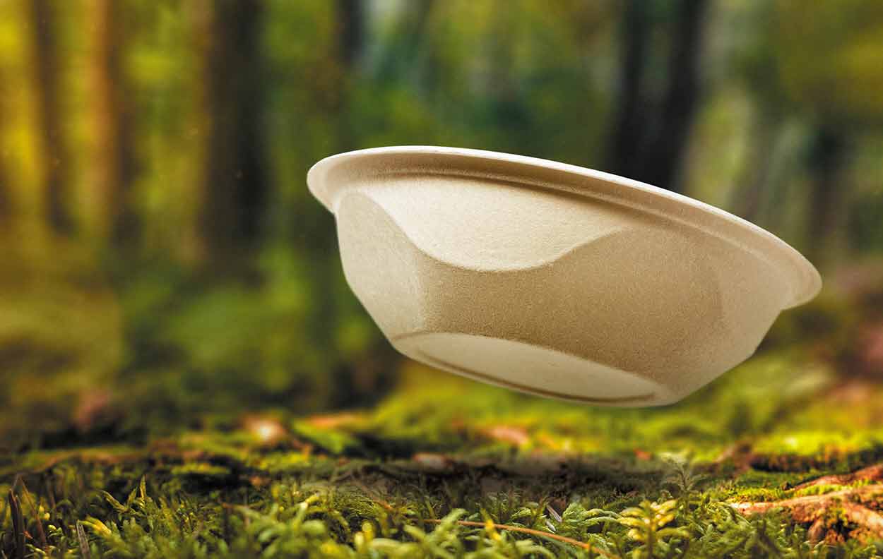 Pure Fiber - Sustainable Packaging Designed for Stora Enso ...